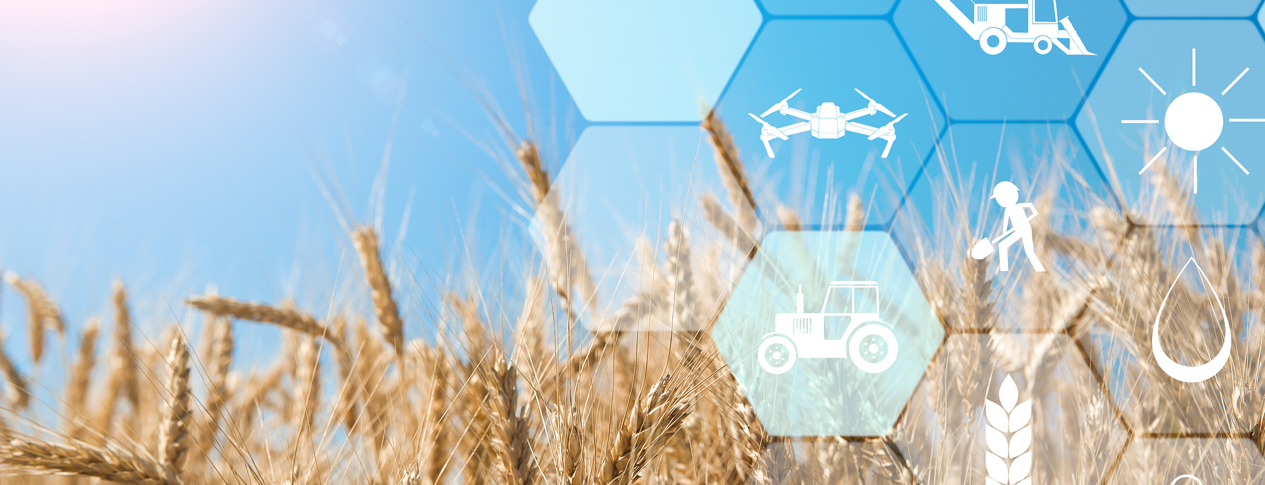 Precision Agriculture - Innovation Asset CollectiveInnovation Asset ...
